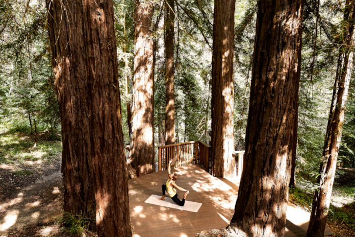Canyon Ranch Woodside Offers New Retreat Experiences - Travel To Wellness