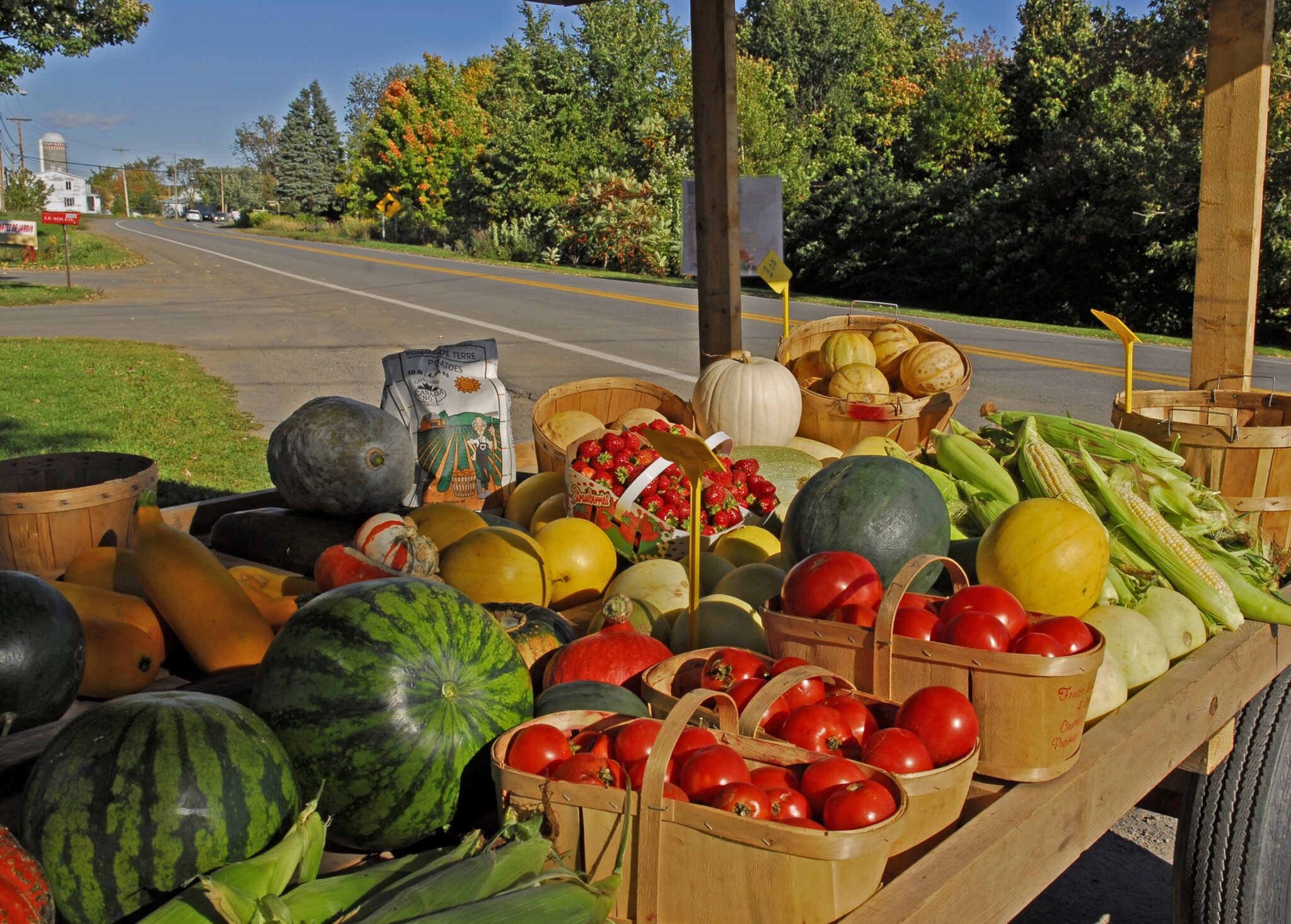 Functional Nutrition and a Call for Healthier Options When Traveling ...